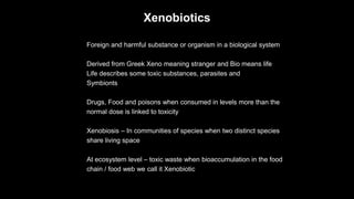 Soil Pollution.pptx