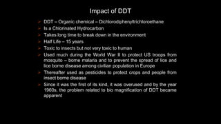 Soil Pollution.pptx