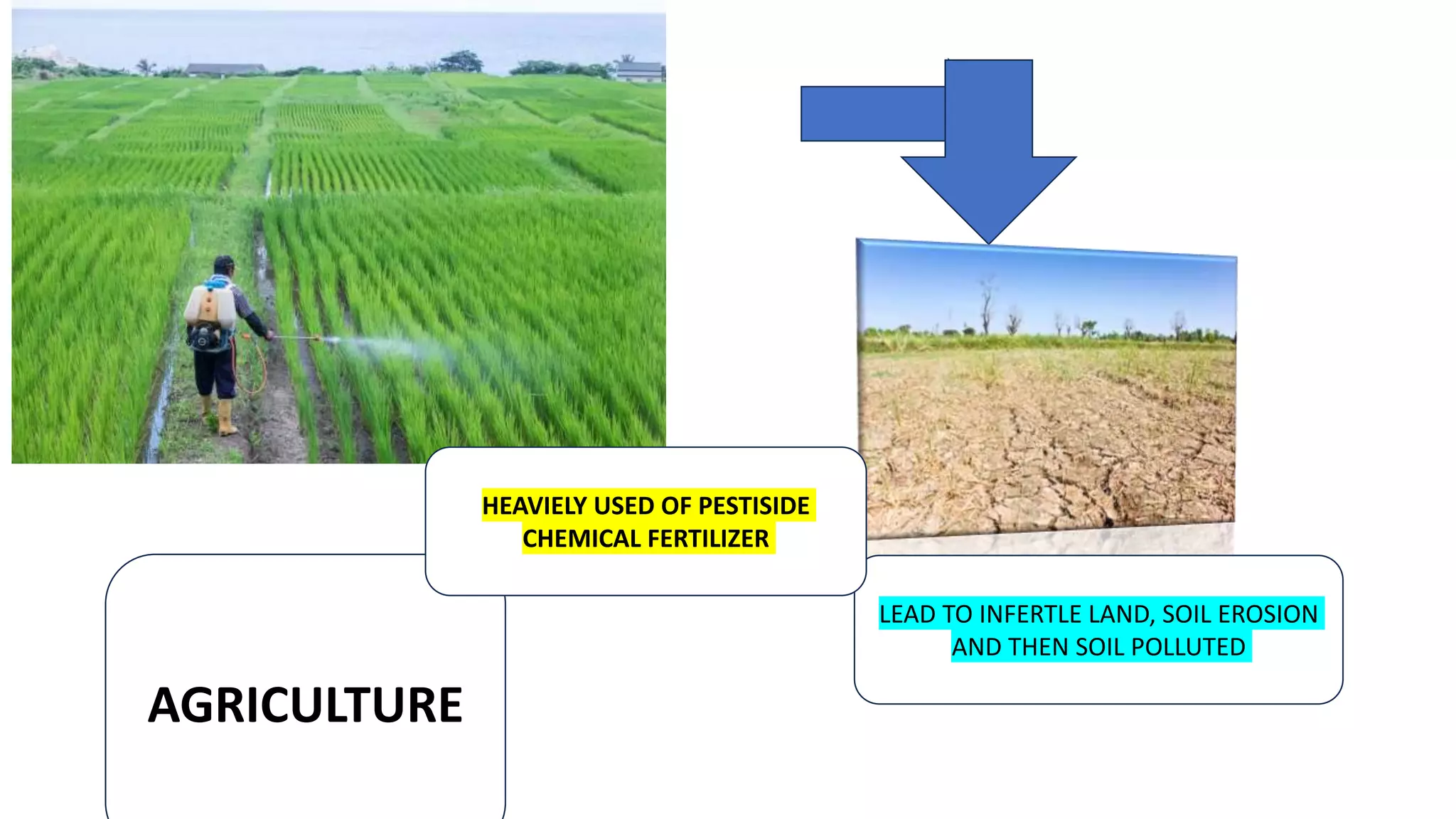 soil pollution.pptx