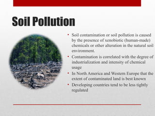 Soil Pollution Environmental Science.pptx