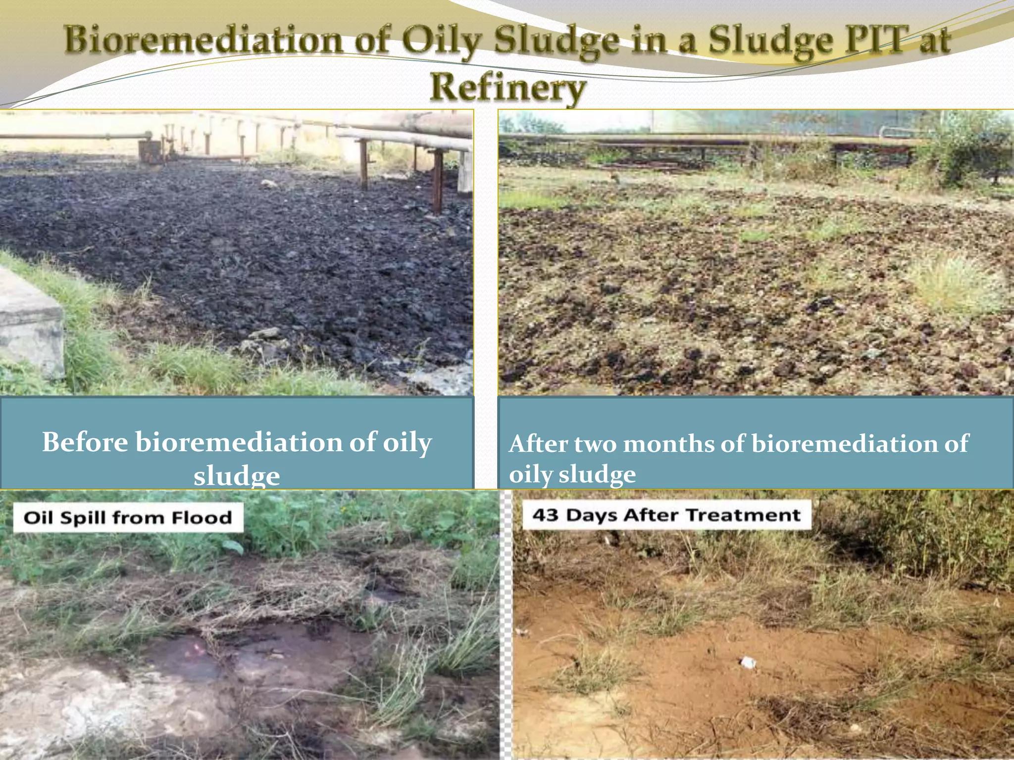 Soil pollution | PPTX