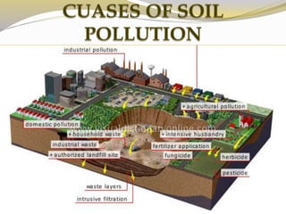 Soil pollution | PPTX