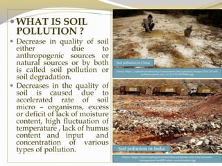 Soil pollution | PPTX