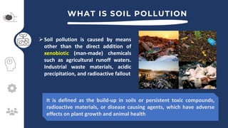 Soil Pollution .pdf