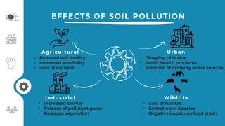 Soil Pollution .pdf