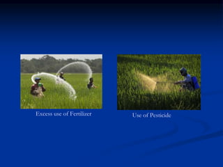 soilpollutionbs1121-160223095736.pdf