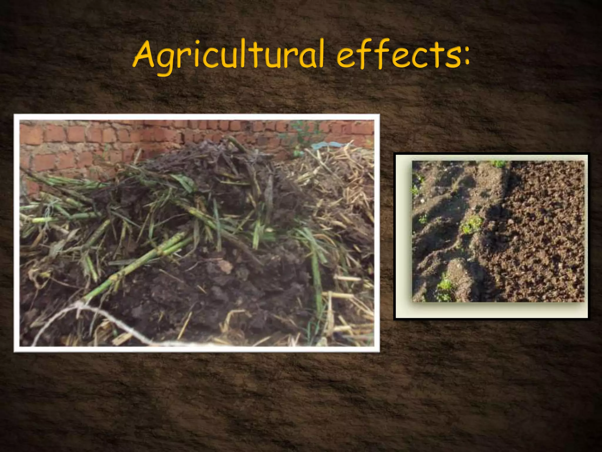 Soil pollution | PPTX