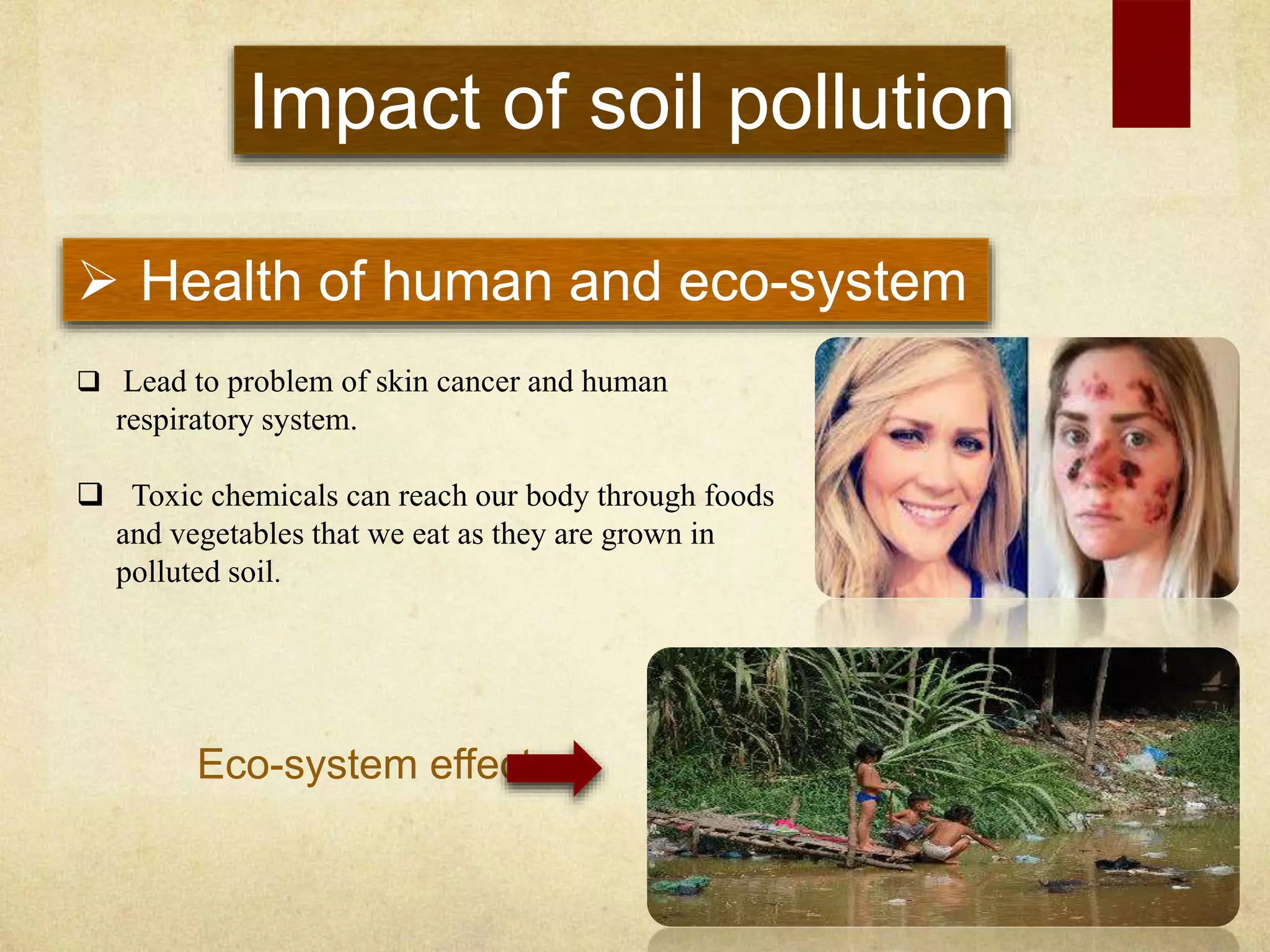 Soil pollution | PPT