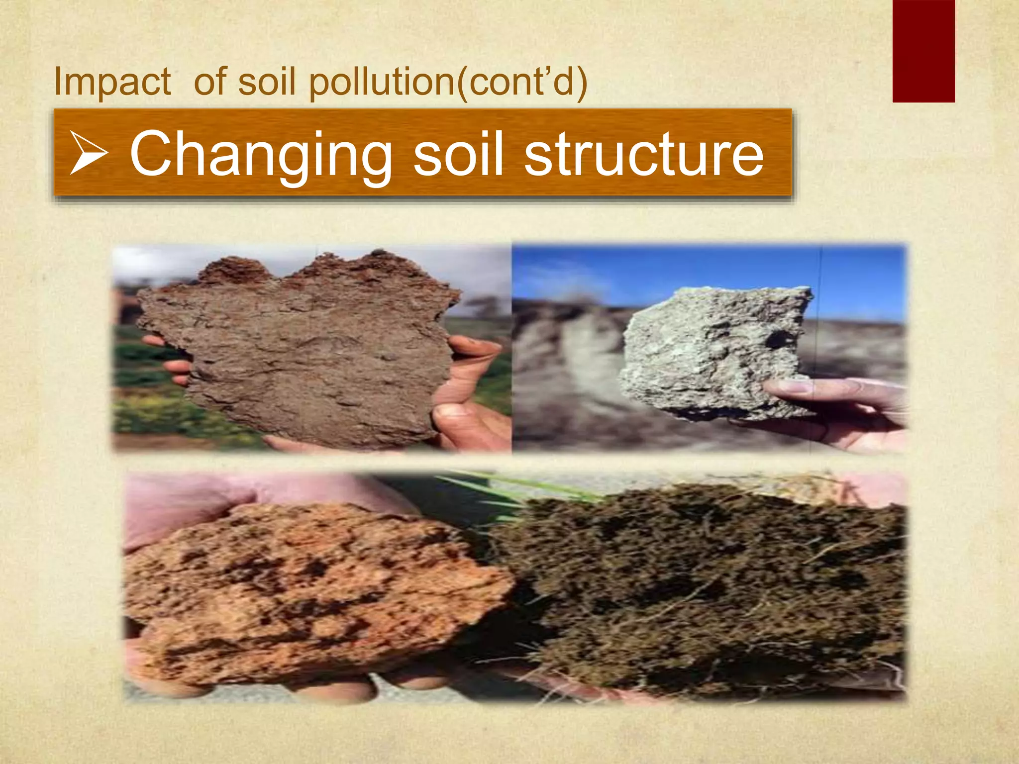 Soil pollution | PPT