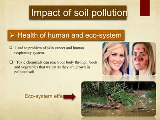 Soil pollution | PPT