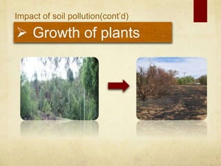 Soil pollution | PPT