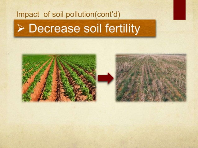 Soil pollution | PPT