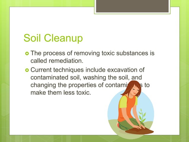 Soil Pollution PPT.pptx