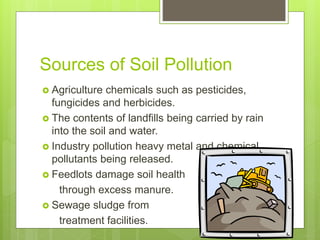 Soil Pollution PPT.pptx