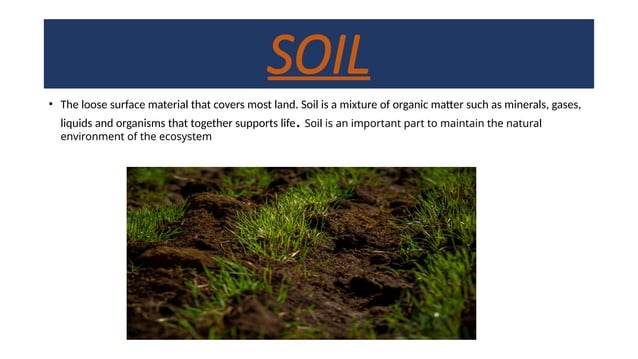 Soil Pollution PPT.pptx give info on soil pollution | PPTX