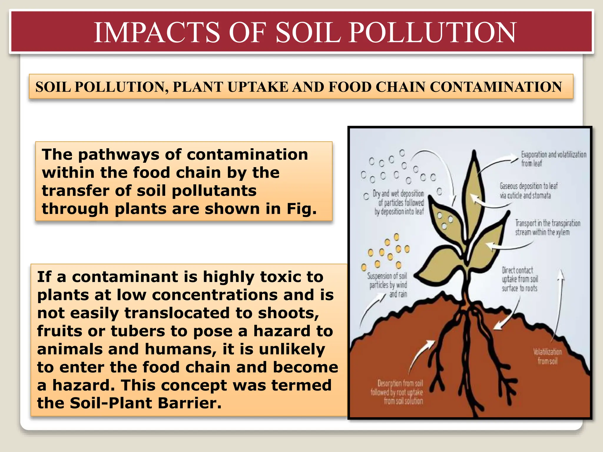 Soil pollution causes effects remedial measures | PPTX