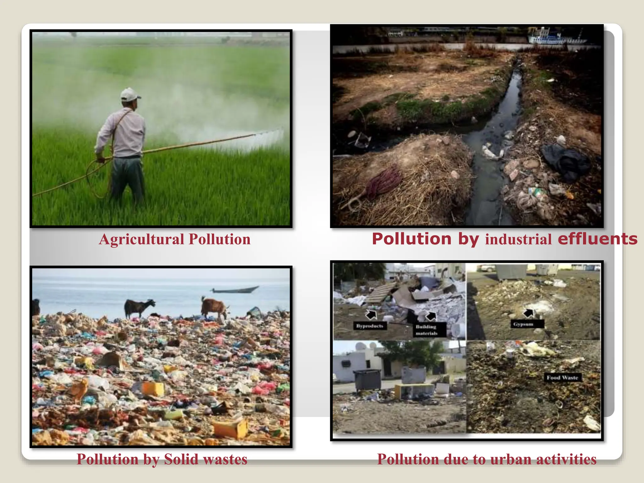 Soil pollution causes effects remedial measures | PPTX