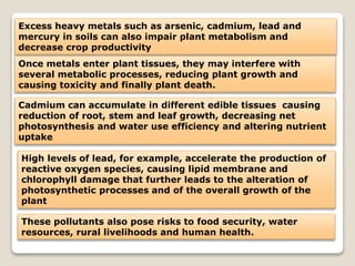 Soil pollution causes effects remedial measures | PPTX