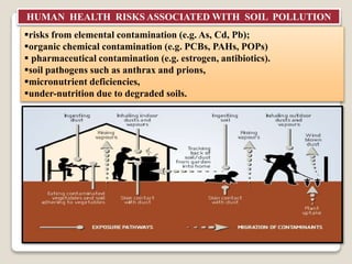 Soil pollution causes effects remedial measures | PPTX