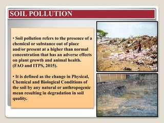 Soil pollution causes effects remedial measures | PPTX