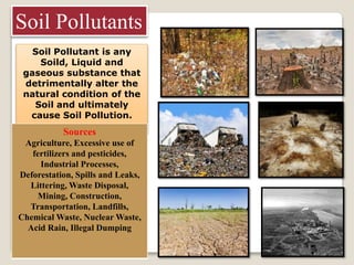 Soil pollution causes effects remedial measures | PPTX