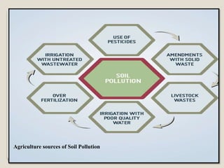 Soil pollution causes effects remedial measures | PPTX
