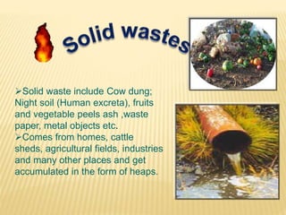 Soil pollution and how to prevent it | PPTX