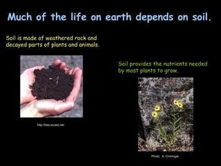 Soil Powerpt Andie | PPT