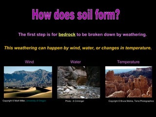Soil Powerpt Andie | PPT