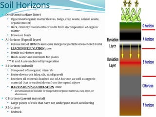 soil pollution and human healths effects | PPTX