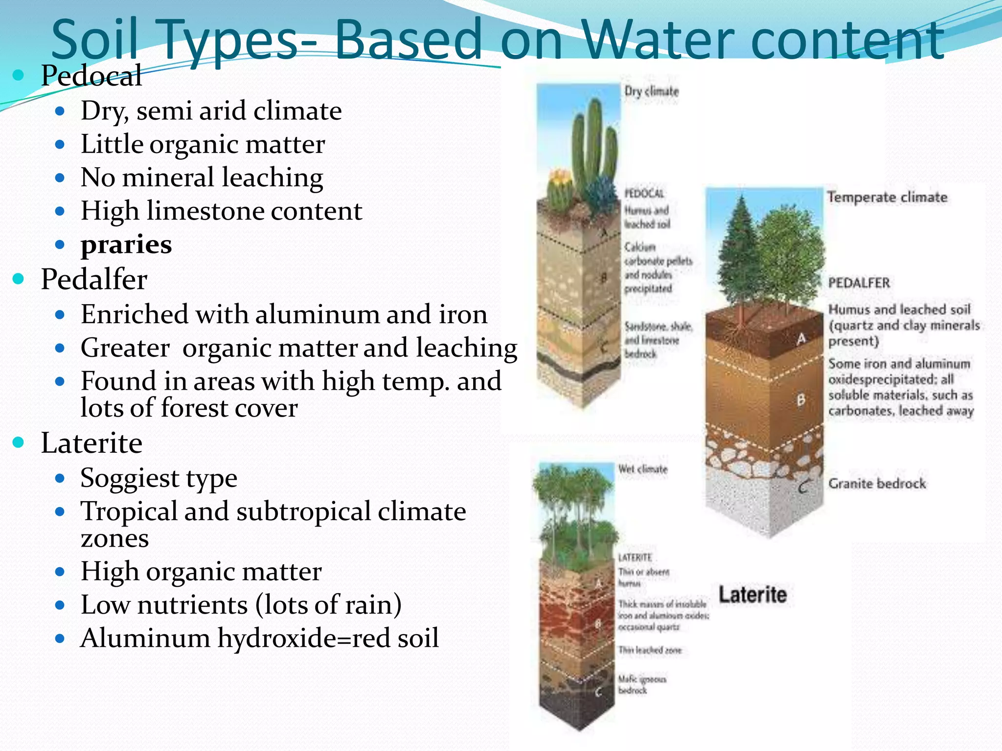 Soil ppt | PPTX