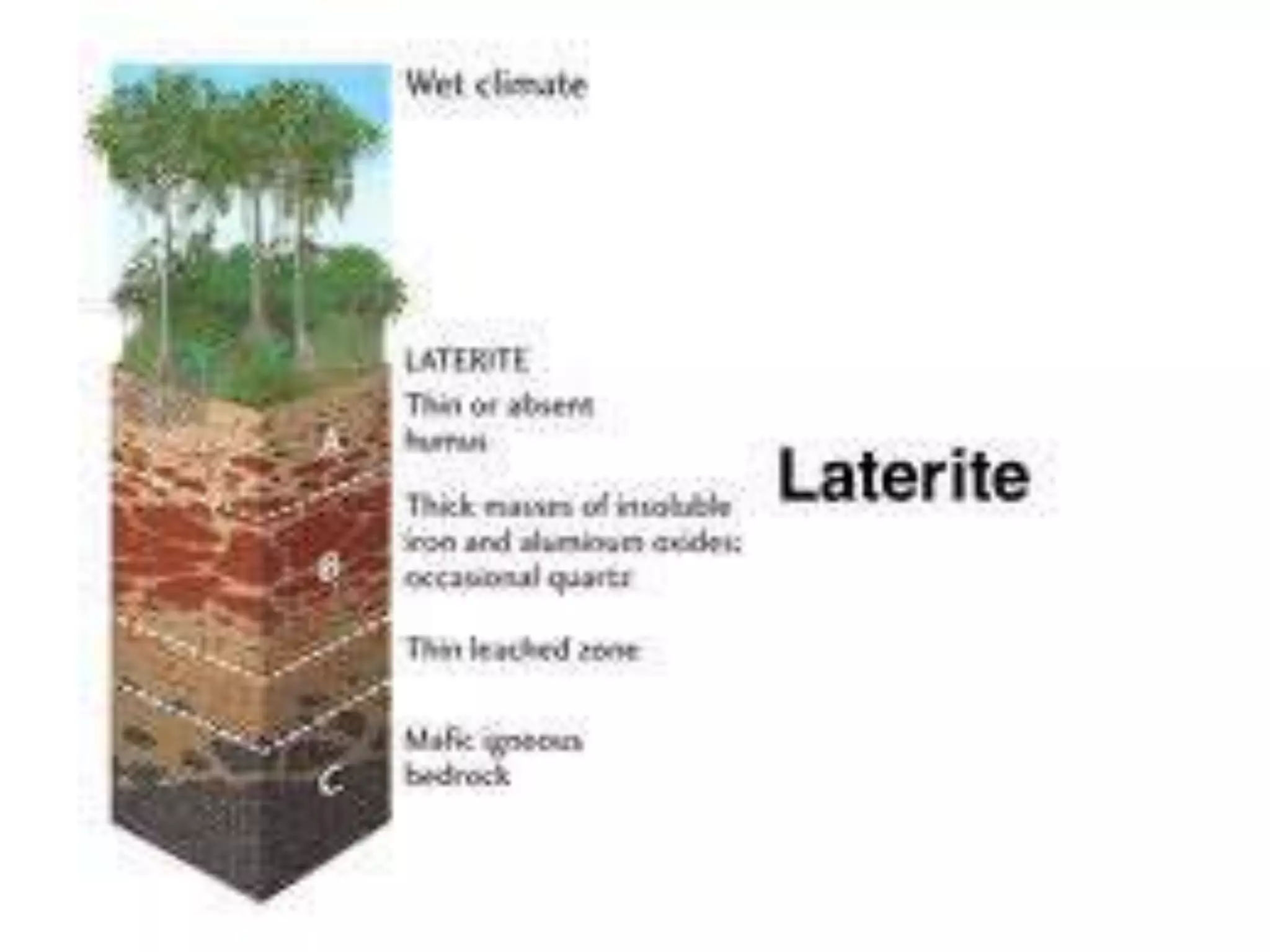 Soil ppt | PPTX