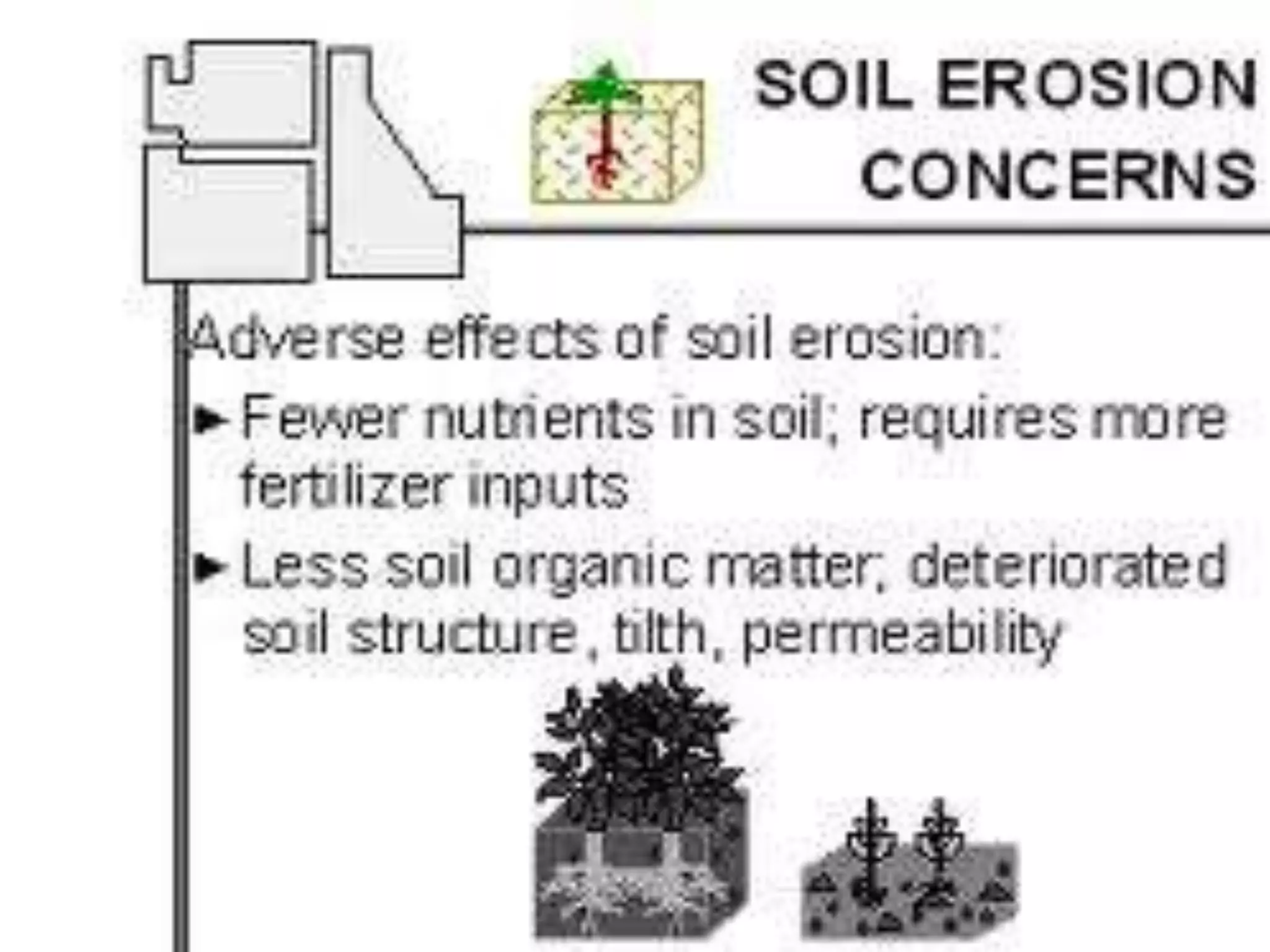 Soil ppt | PPTX