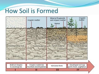 Soil ppt | PPTX