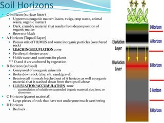 Soil ppt | PPTX