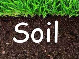 Soil ppt | PPTX