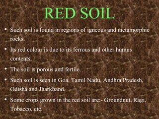 Soil ppt | PPTX