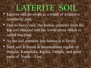 Soil ppt | PPTX