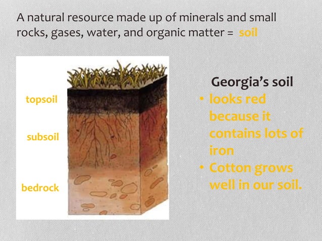 Soil PPT.pptx