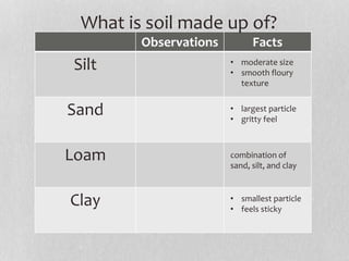 Soil PPT.pptx