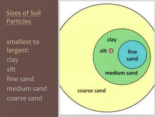 Soil PPT.pptx