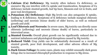 Macro Nutrient Magnesium Function, Deficiency symptoms and Their ...