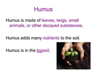 Soil ppt[1][1] | PPTX