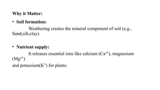 MINERALIZATION OF ORGANIC AND INORGANIC MATTER IN SOIL | PPTX