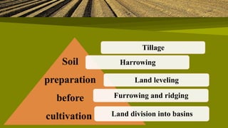 soil preparation before cultivation and classification of soil | PPTX