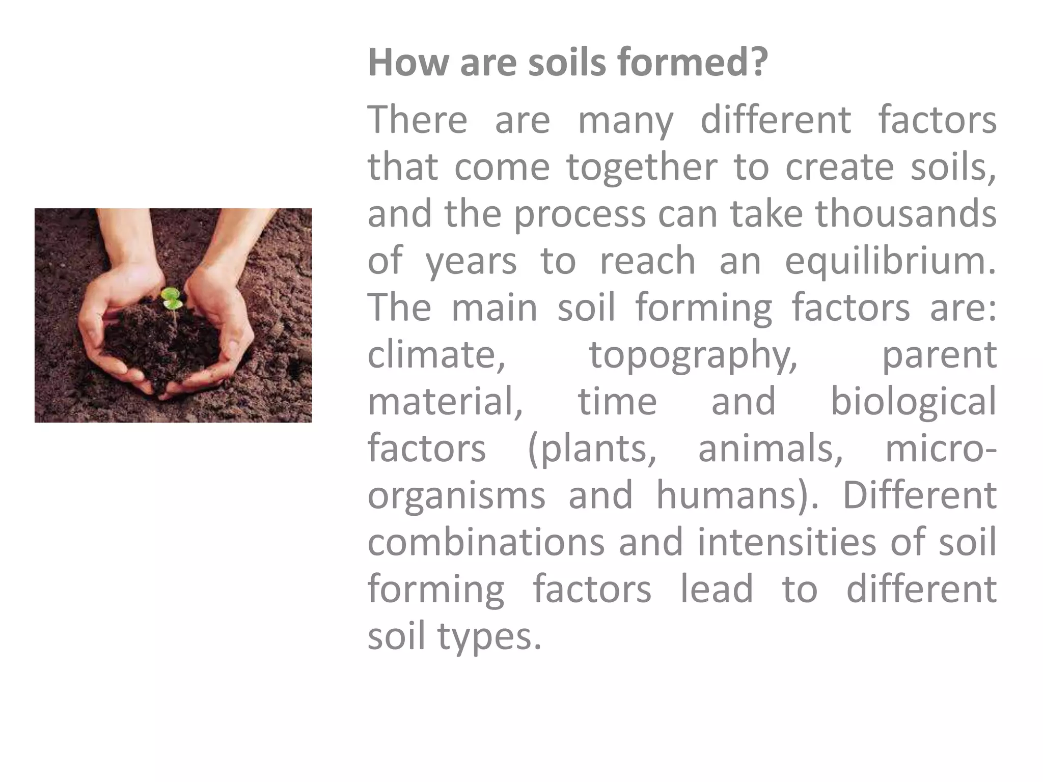 Soil presentation by Benedicta Philip | PPTX