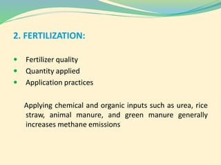 Soil presentation | PPTX