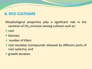 Soil presentation | PPTX
