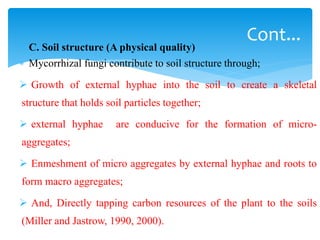 role of bio fertlizer for the improvment of soil fertlity | PDF ...