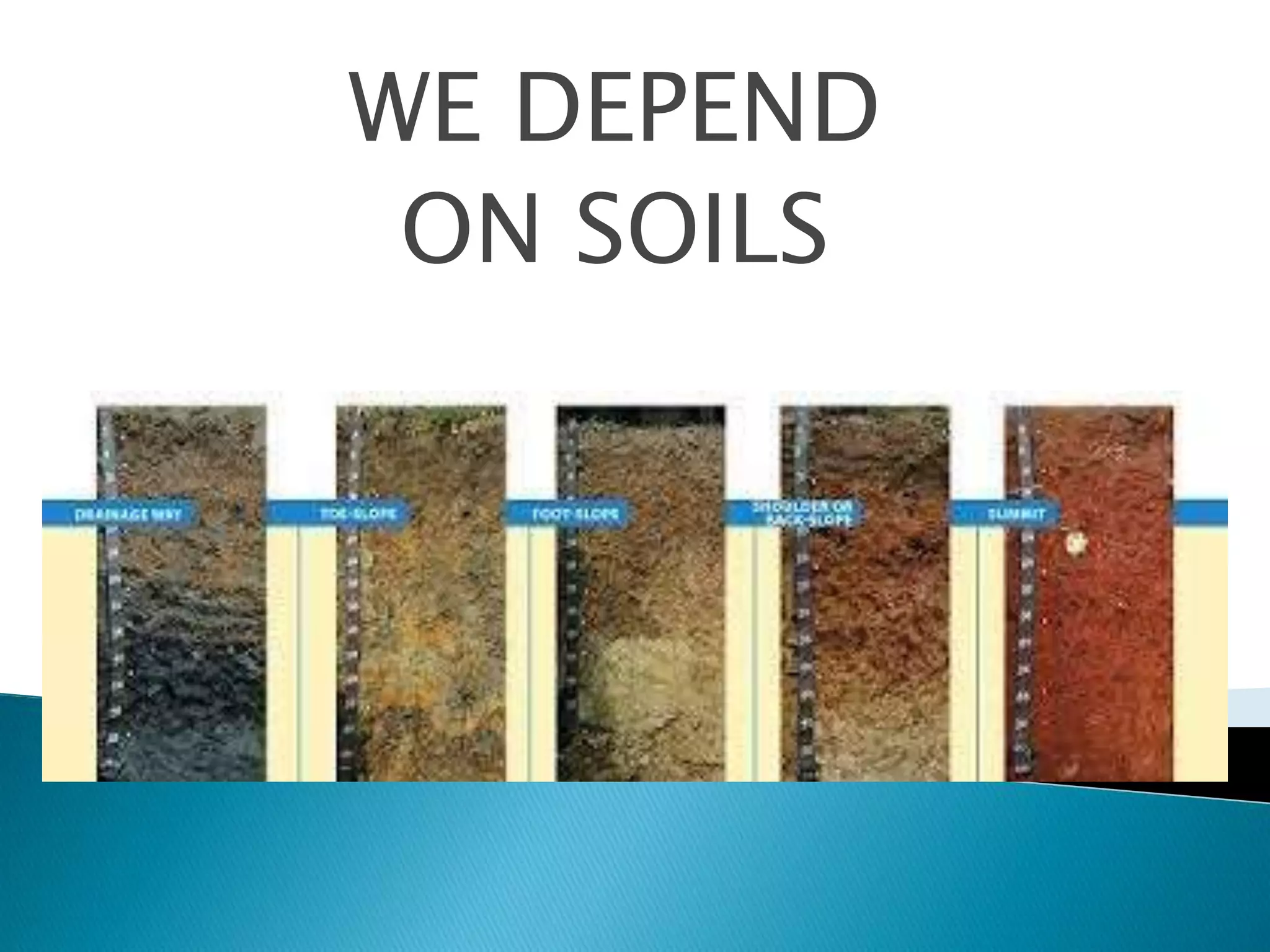 Soil presentation 2 | PPTX